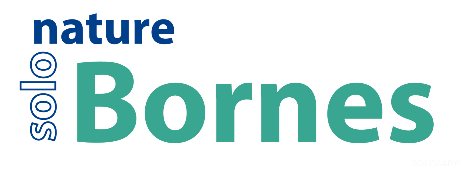Borne Amovible PREMIUM - Solosar